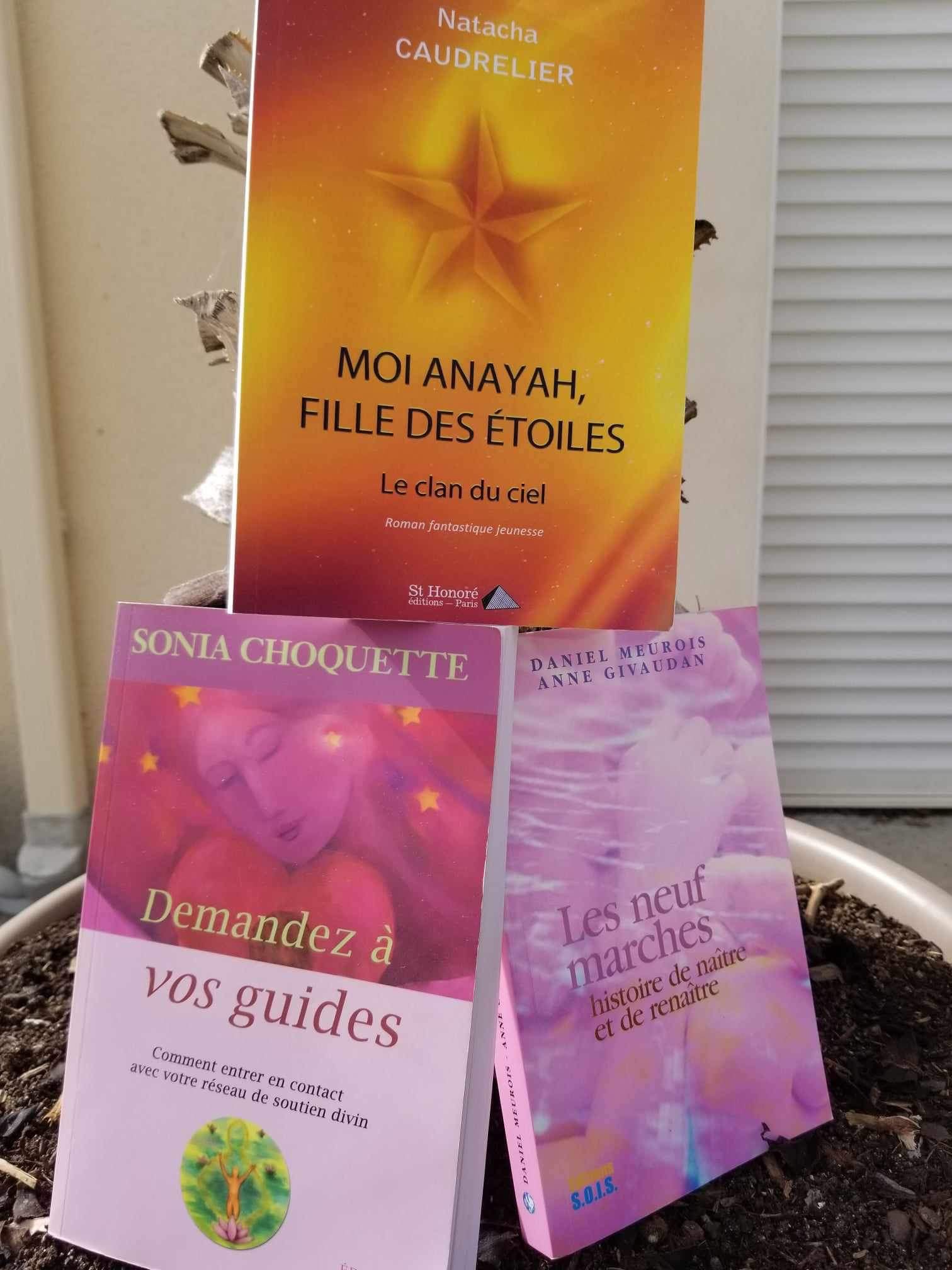 Chamanisme – Naturopathe – Chamane – Theta Healing